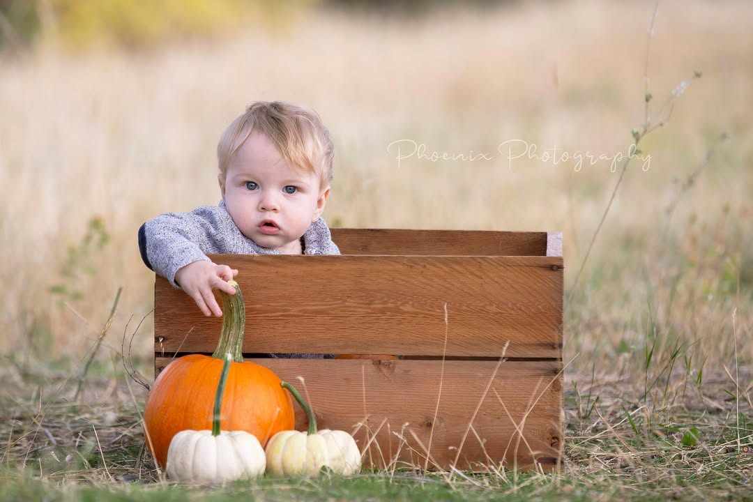 Phoenix Photography – Capturing Grand Forks Moments